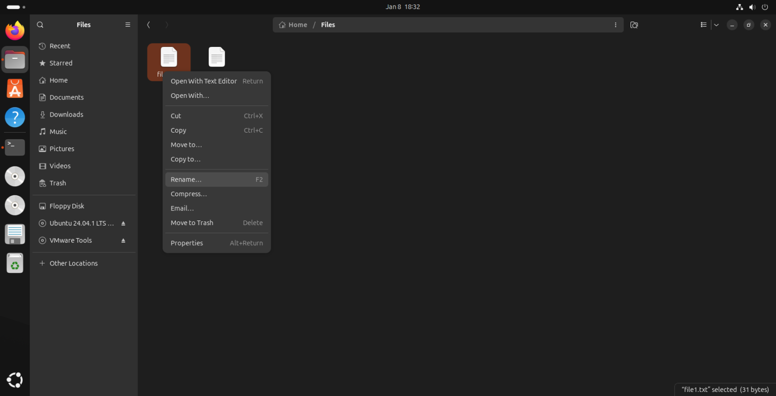 How To Create and View Hidden Files in Linux - NetworkHunt