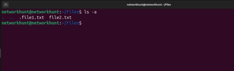 How To Create and View Hidden Files in Linux - NetworkHunt