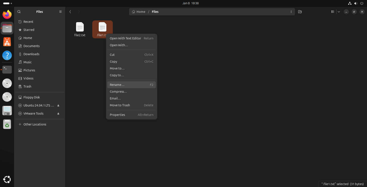 How To Create and View Hidden Files in Linux - NetworkHunt