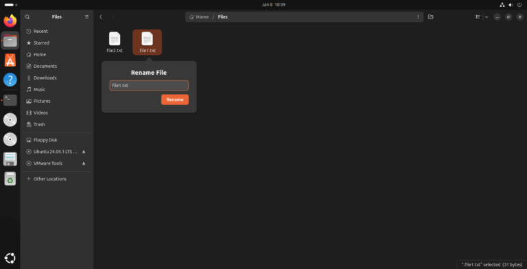 How To Create and View Hidden Files in Linux - NetworkHunt