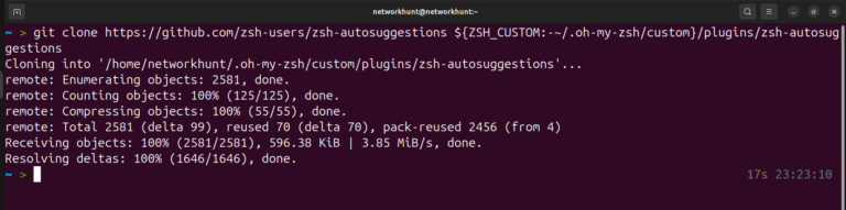How to Customize Linux Terminal: Themes and Plugins - NetworkHunt